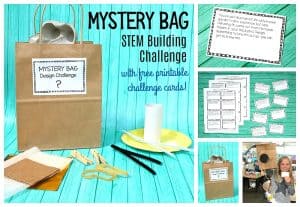 Mystery Bag STEM Design Challenge with Free Printable Challenge Cards ...
