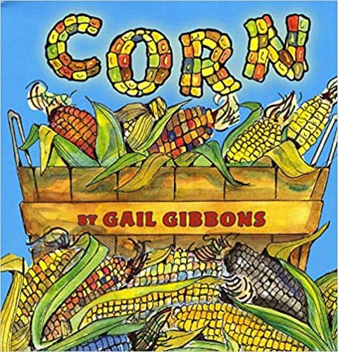 Pinecone Calico Corn Craft for Thanksgiving - Buggy and Buddy